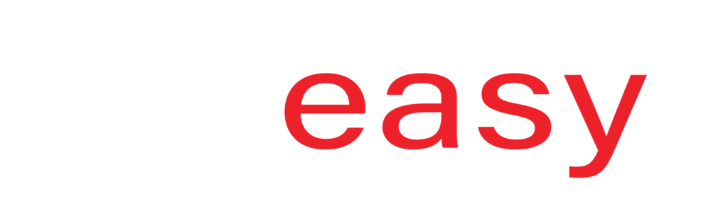 Net Easy, Inc. – Technology Made Easy